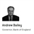 Bailey urges global cooperation to ease financial risks, remains ...