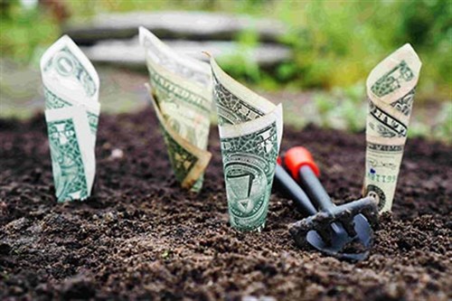 Learn Options: Rolling Options Positions | investingLive