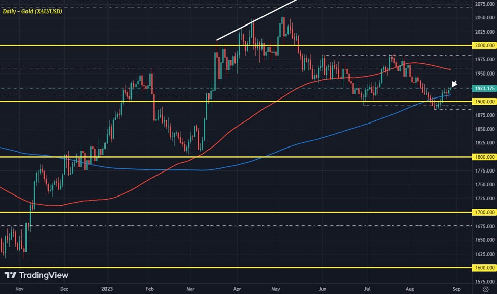 Gold bulls hold out some hope towards the end of August | investingLive