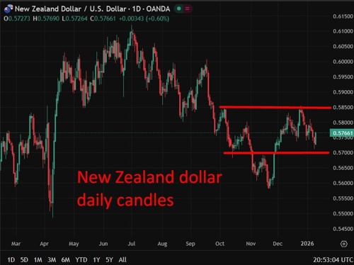 New Zealand business confidence surges to decade high as recovery ...