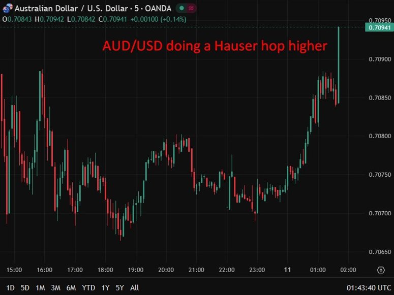 RBA’s Hauser says inflation too high, vows action to return to target ...