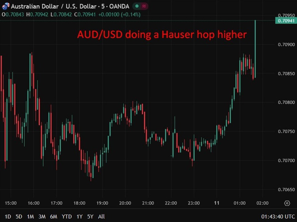 RBA’s Hauser says inflation too high, vows action to return to target ...