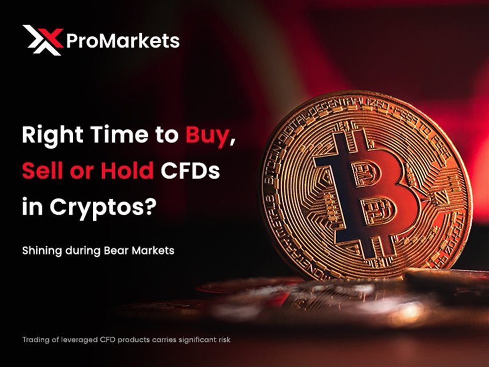 XPro Markets - Crypto Market Crash: Is this a great time to buy, sell ...