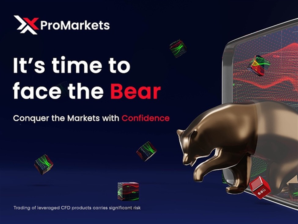 XPro Markets - Everything You Need to Know About Bear Markets ...