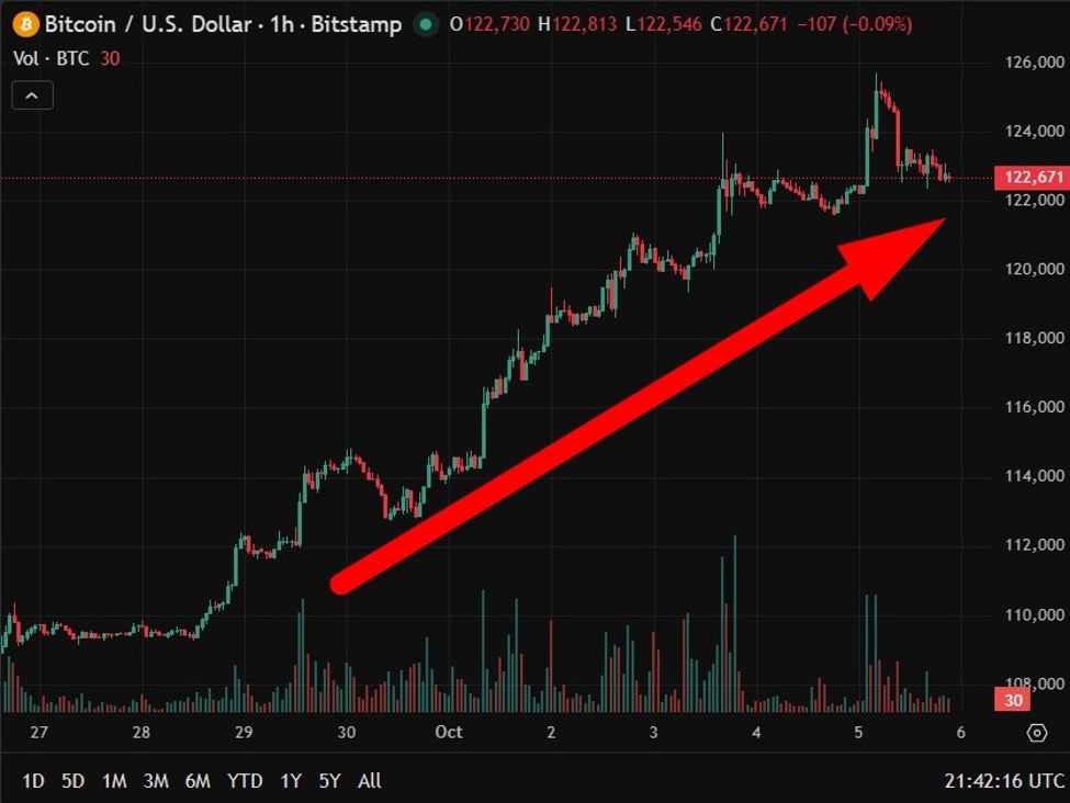 Trump's $1000 to $2000 stimulus checks for Americans lifted Bitcoin ...