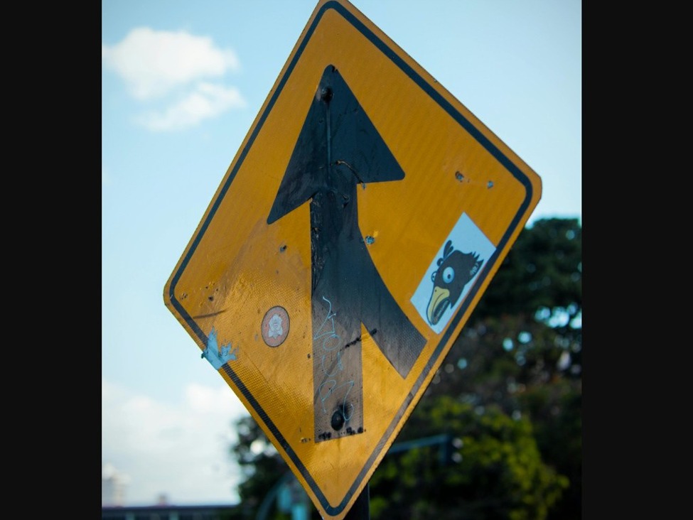 Morgan Stanley sees strong 2026 M&A and IPO wave, expects more bank ...