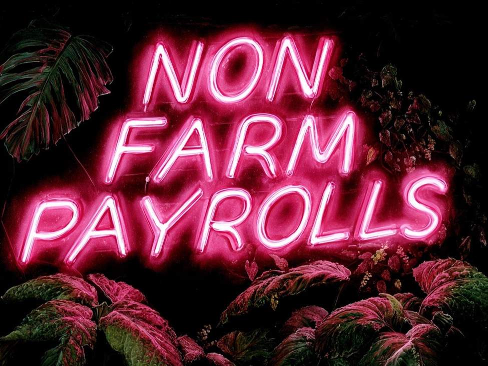 Non-farm payrolls delayed: US won’t release the January jobs report as ...