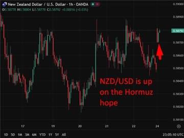 NZIER shadow board backs RBNZ hold this week (May 27) at 2.25% but rate ...