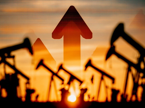 Fed's Cook flags oil price as key risk as she watches inflation ...