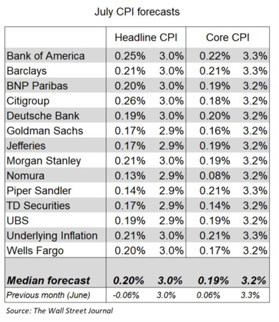 Economists expectations for the critical US July CPI data revealed ...