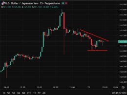 Japan CPI stays muted in May as subsidies mask building inflation ...